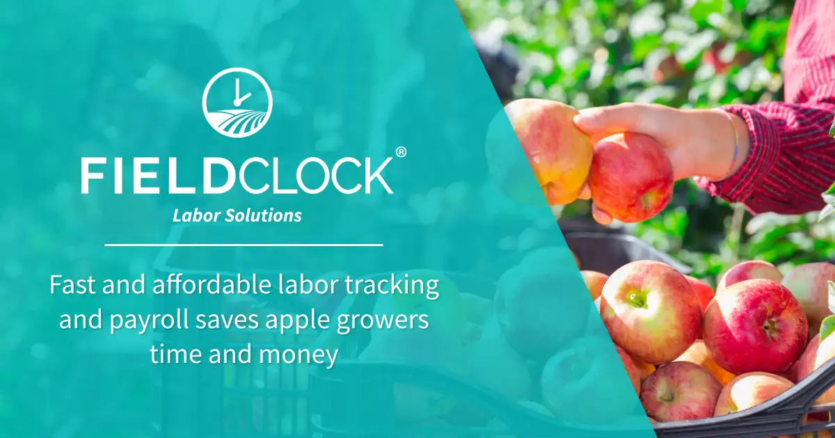 FieldClock- Manage your apple orchard labor and harvest more effectively